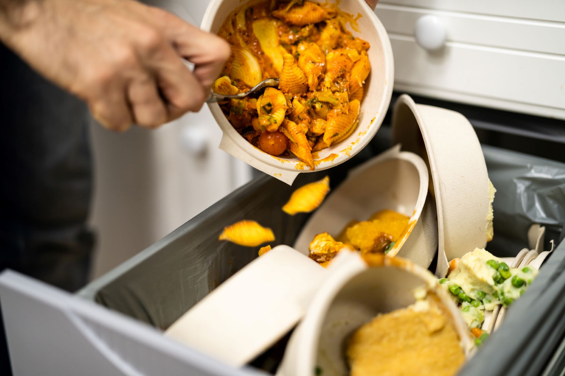 What's the most common reason you end up throwing away food? | TCD Guide