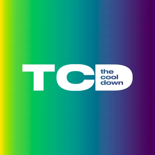 Marketplace Survey | TCD Guide