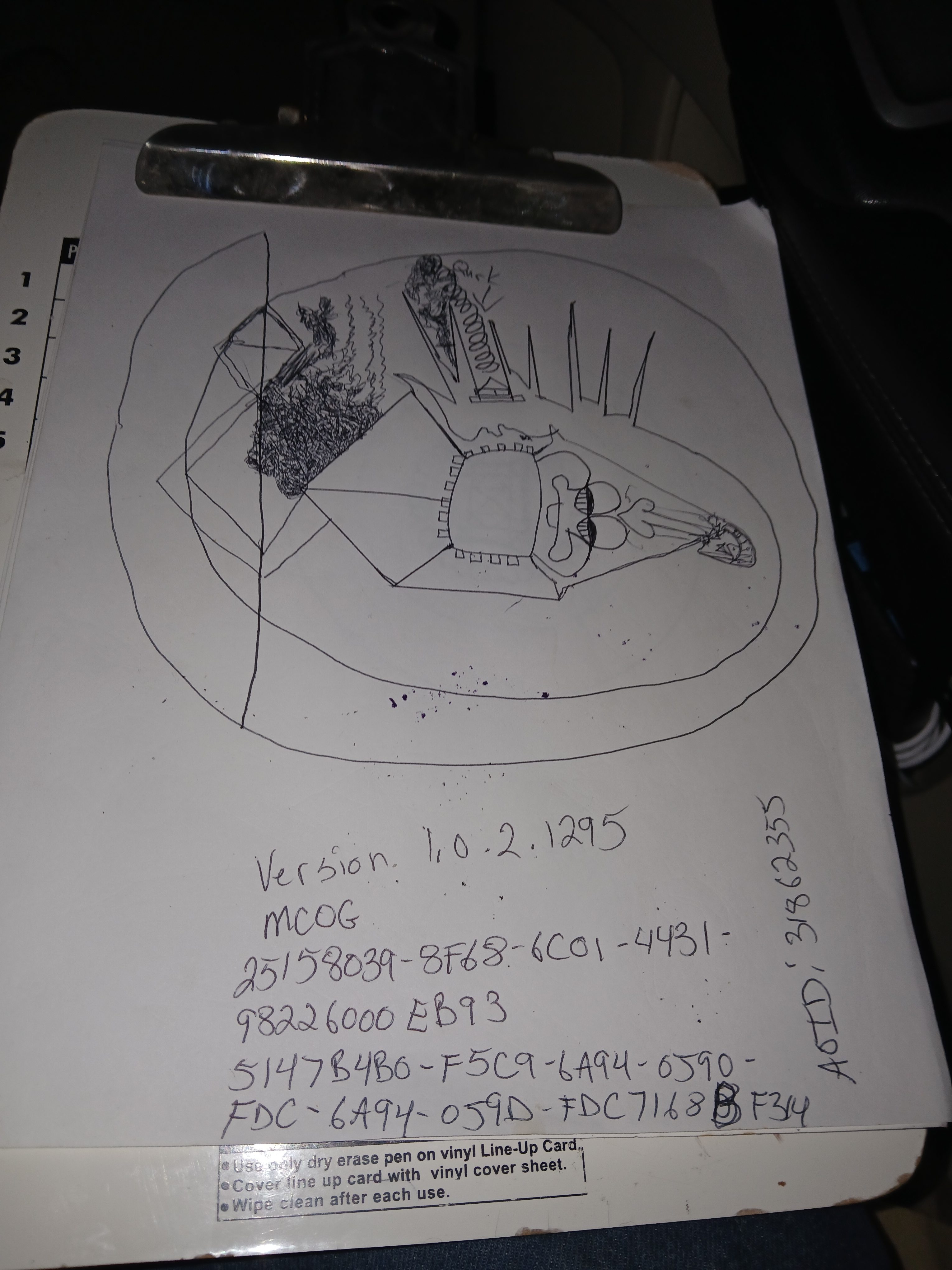 Rewild your yard | TCD Guide